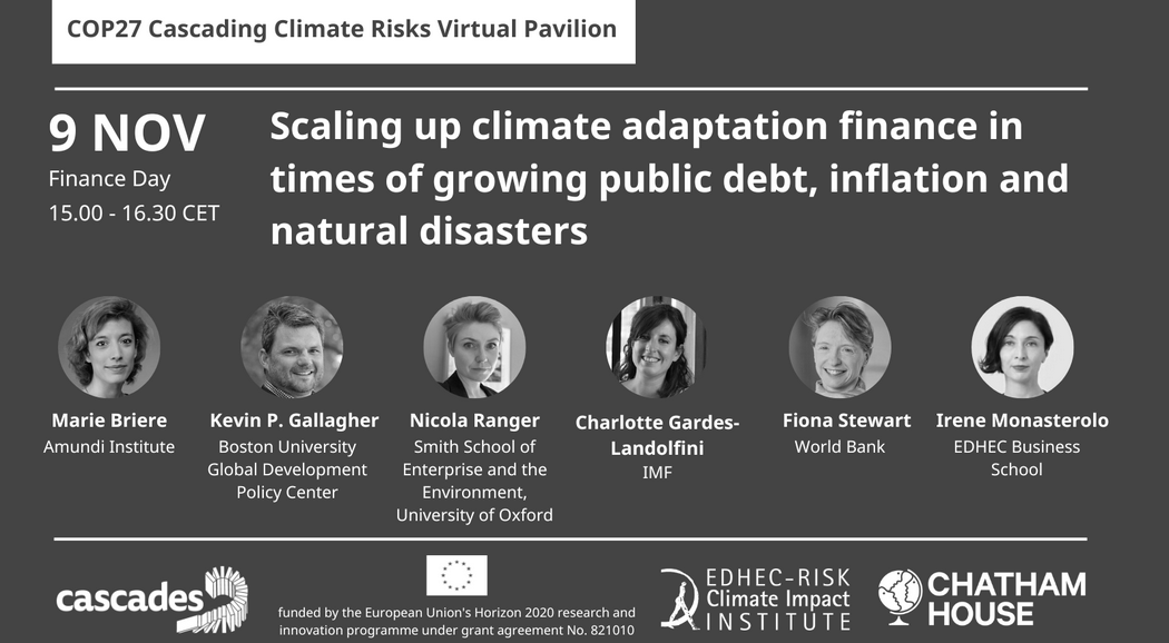 Scaling up climate adaptation finance in times of growing public debt ...