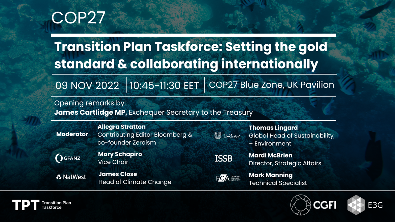 Transition Plan Taskforce: Setting the gold standard and collaborating ...